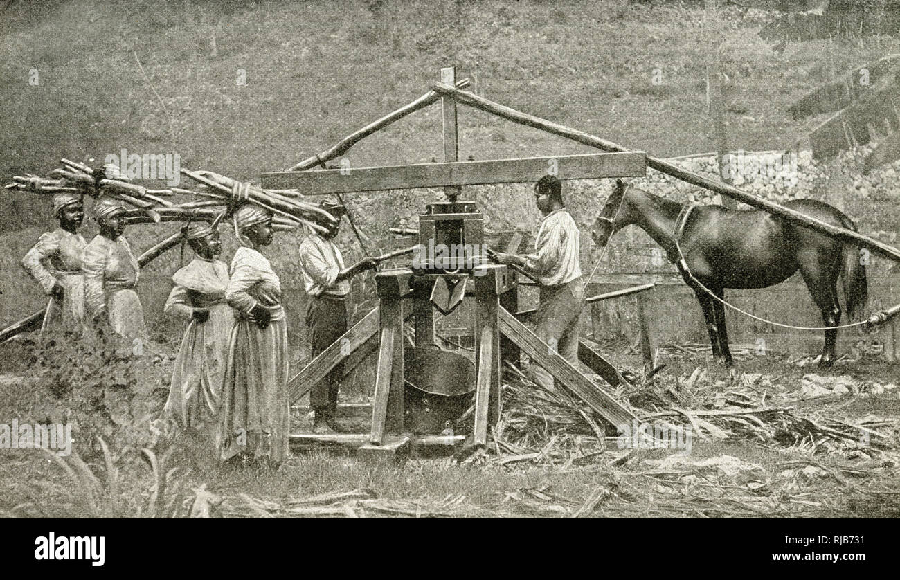 Native Cane Mill, Jamaica Stock Photo - Alamy
