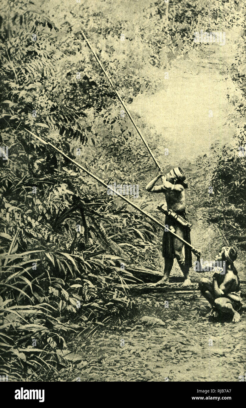 Blowpipe Hunting High Resolution Stock Photography and Images - Alamy