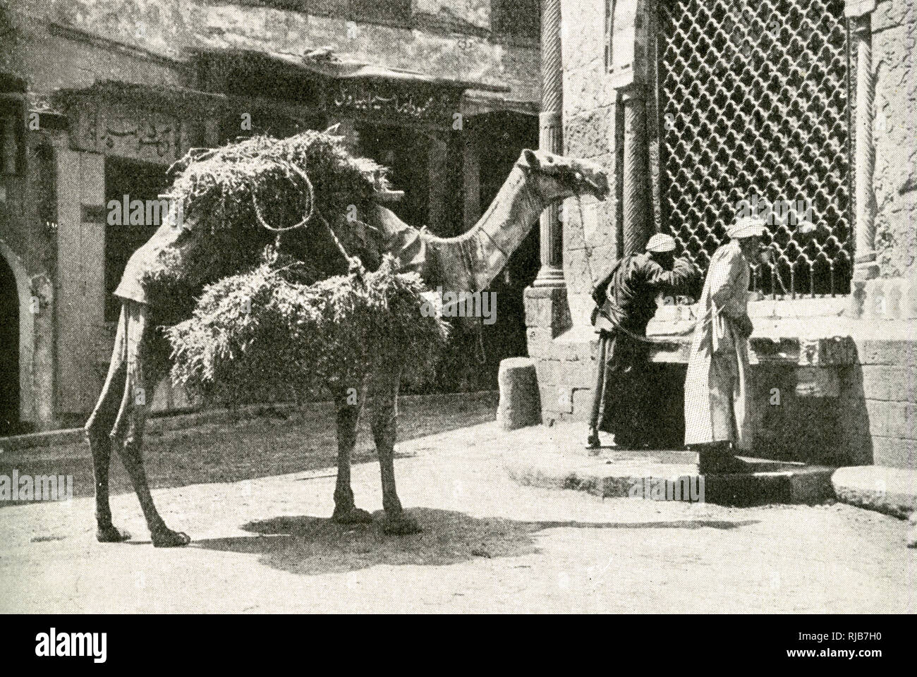 Cairo egypt 1920s hi-res stock photography and images - Alamy