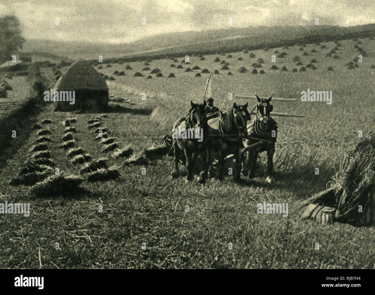 1920s farming uk hi-res stock photography and images - Alamy