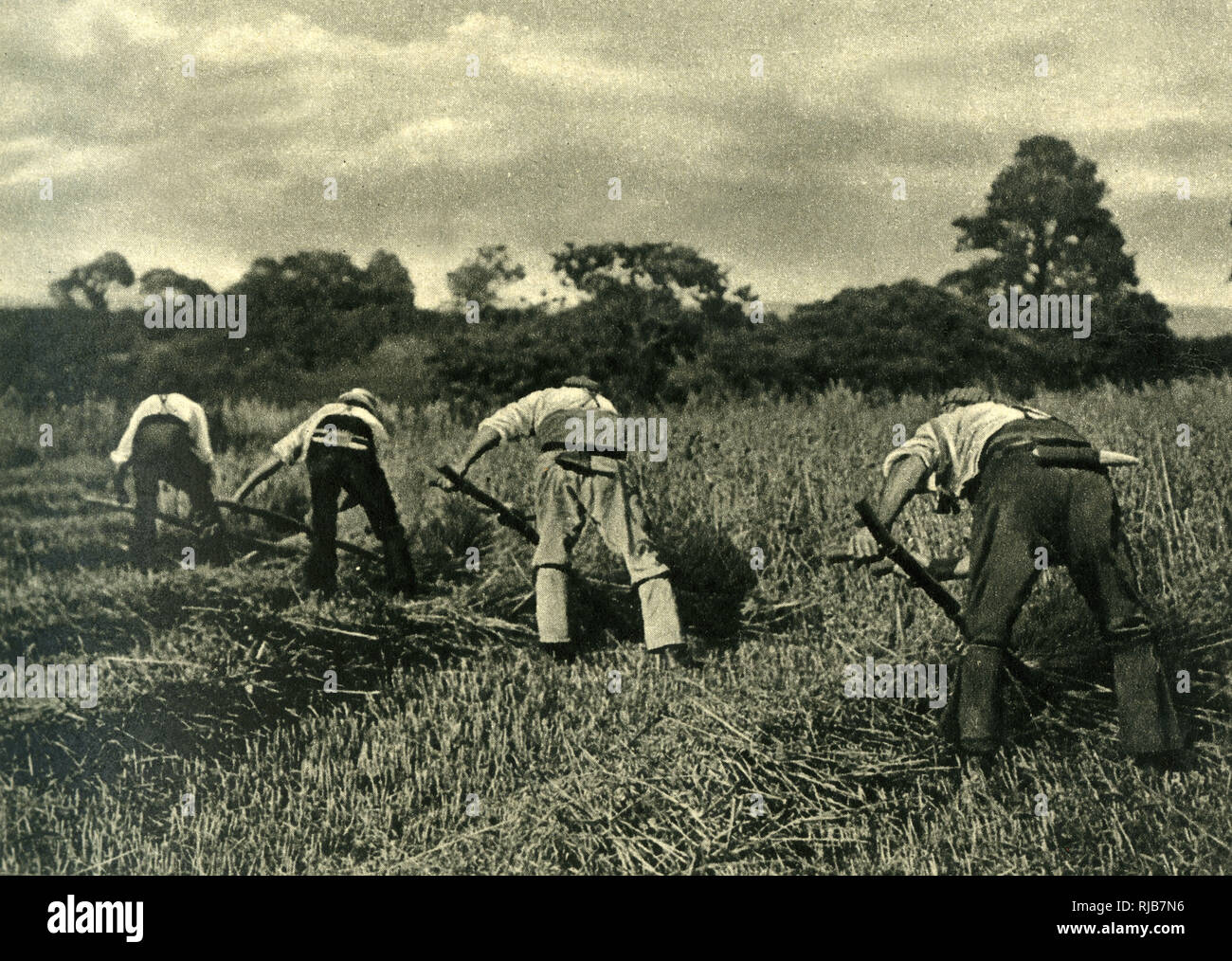 Scythes hi-res stock photography and images - Alamy