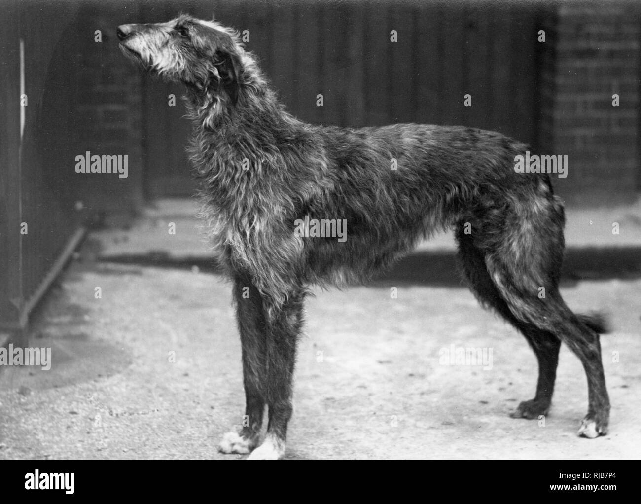 Aesthetic standing Black and White Stock Photos & Images - Alamy