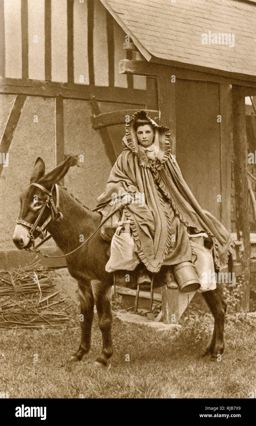 Norman donkey hi-res stock photography and images - Alamy