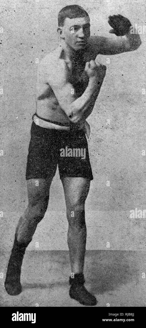 Irish boxer hi-res stock photography and images - Alamy