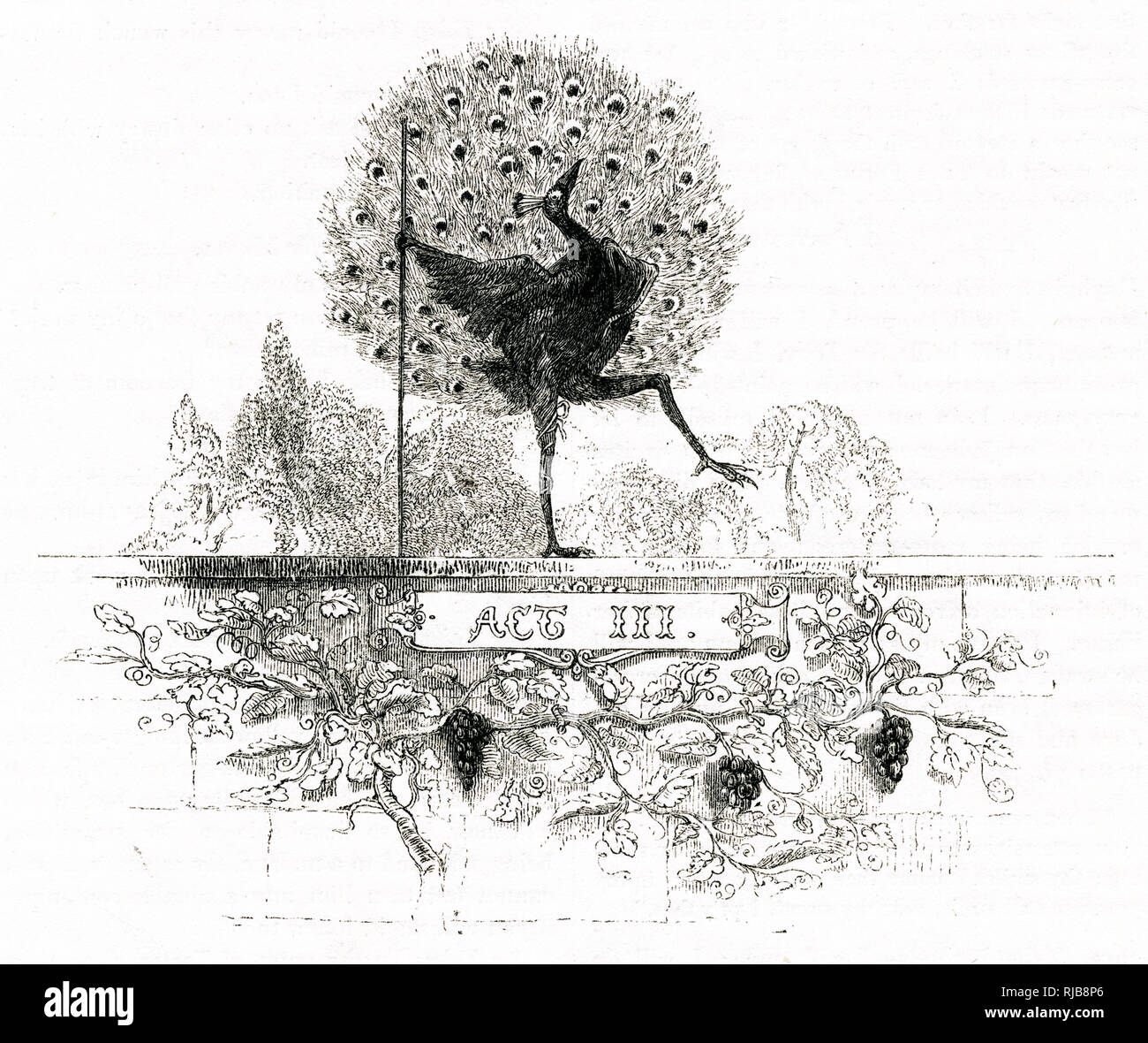 Illustration, Twelfth Night, by William Shakespeare Stock Photo - Alamy