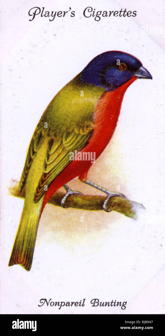 Nonpareil hi-res stock photography and images - Alamy