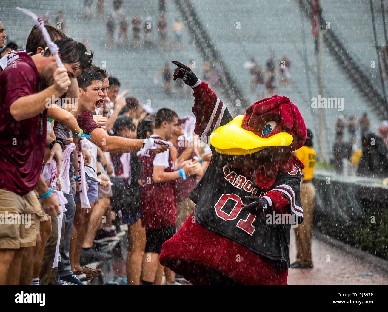 University of south carolina hi-res stock photography and images - Alamy