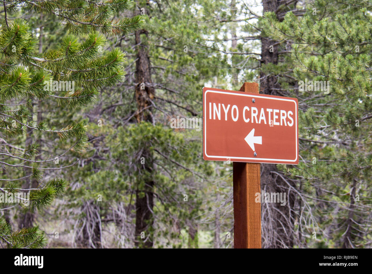 Sign for the Inyo Craters trailhead in the Inyo National Forest in ...