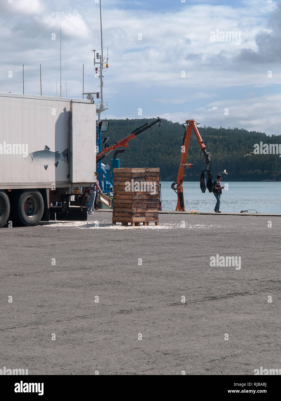 Fishing industry. Fishing port with truck and wooden crates ready to ...