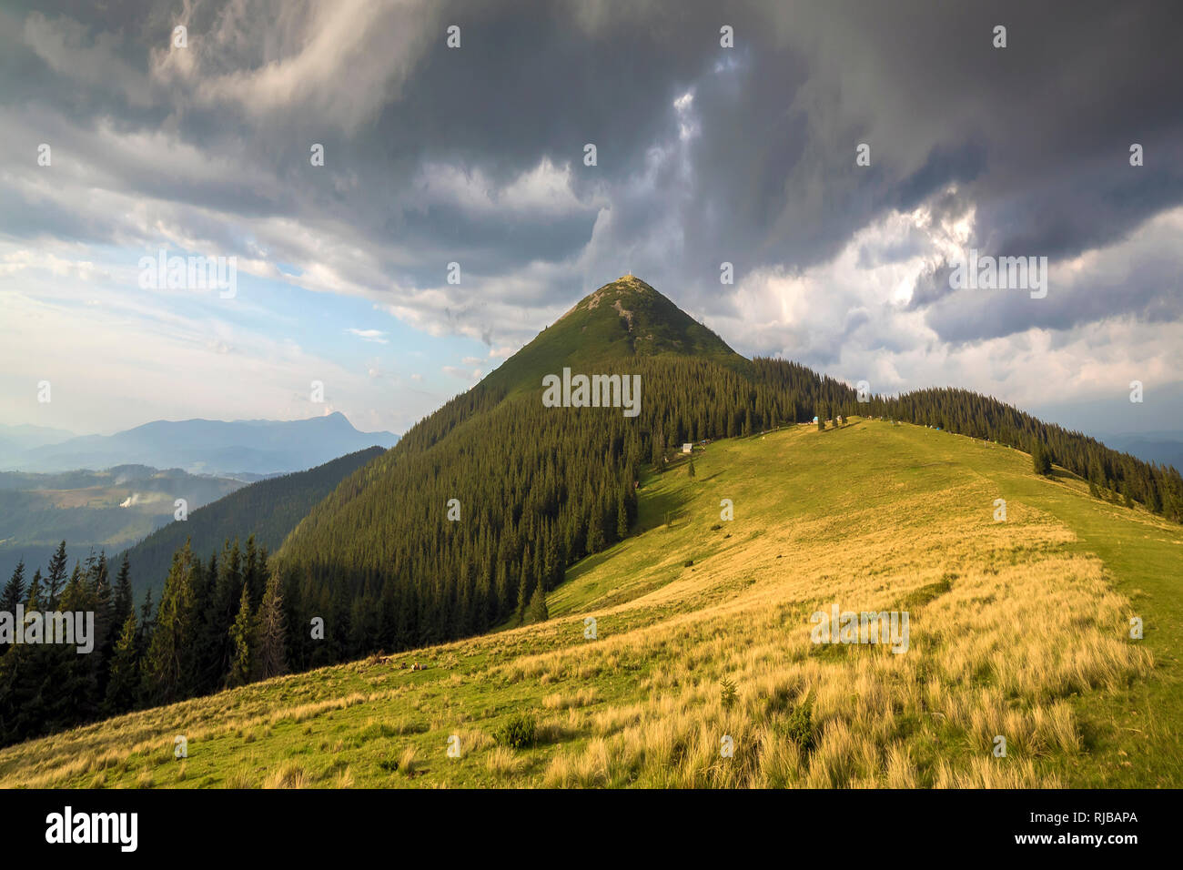 Panoramic view of green grassy valley, pine trees and rural small ...