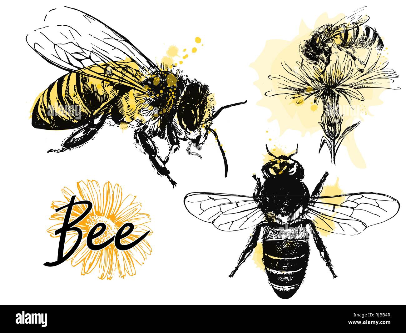 Set of hand drawn sketch style bees isolated on white background ...