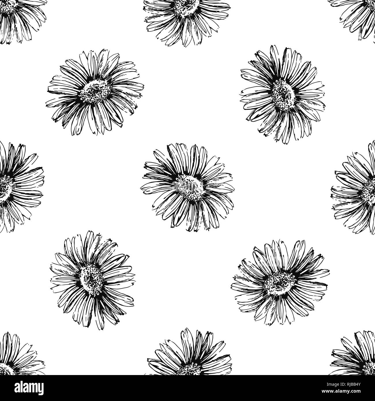 Seamless pattern of hand drawn sketch style daisies isolated on white ...