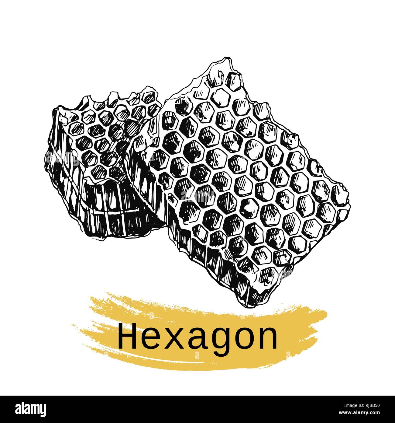 Hand drawn sketch style honeycombs isolated on white background. Vector ...