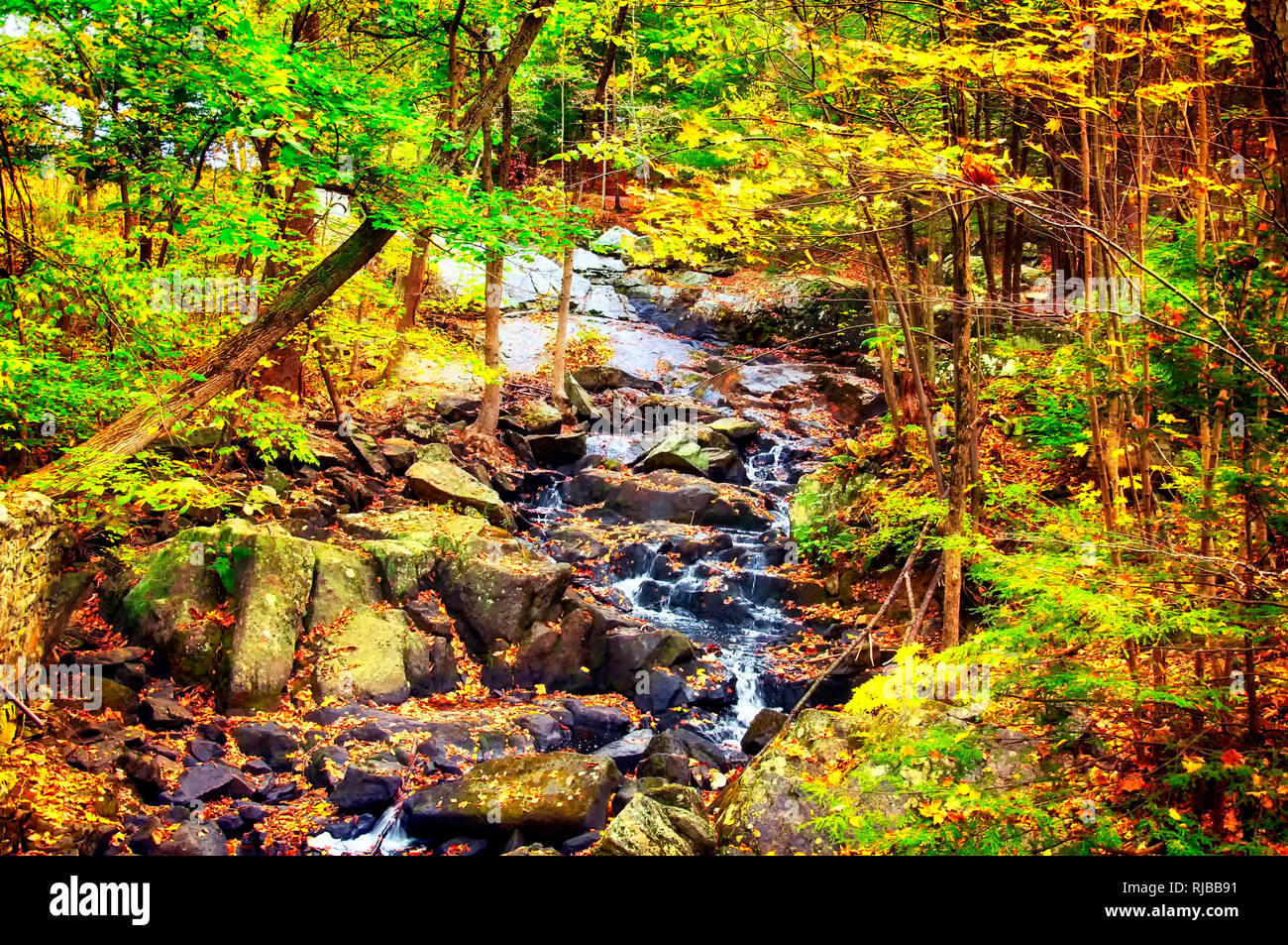 A small brook flowing from Southford falls in the peak fall foliage ...