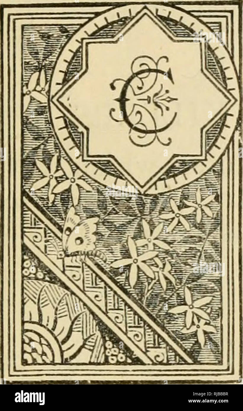 L pirithous hi-res stock photography and images - Alamy