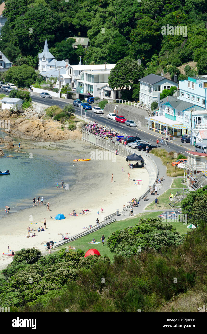 Beach at Scorching Bay, Wellington, New Zealand Stock Photo - Alamy
