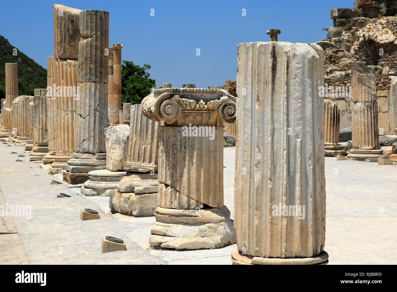 Ancient city of Ephesus - Archaeological studies that started a long ...