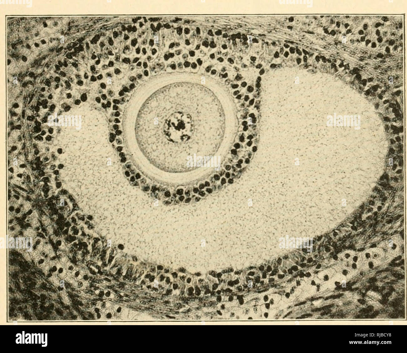 Two large spherical forms hi-res stock photography and images - Alamy