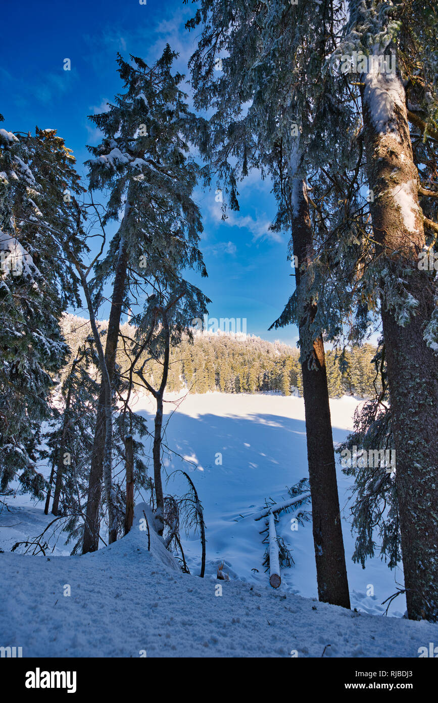 Winter Landscape Snow Mountain Frozen Lake Black Forest Germany Stock ...