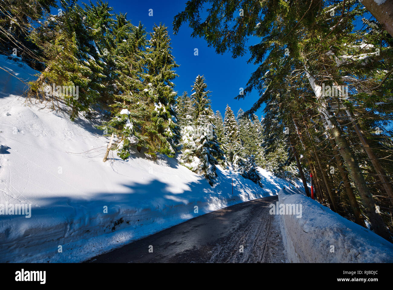 Winter Landscape Snow Mountain Frozen Lake Black Forest Germany Stock ...