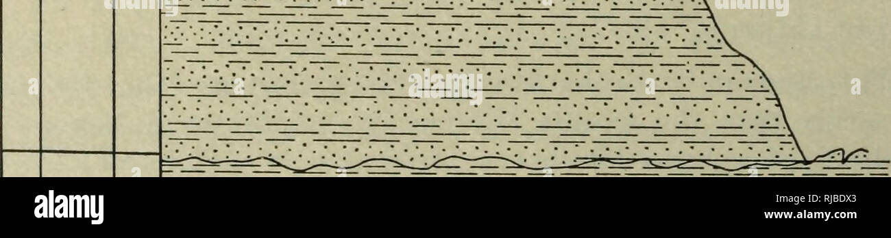 Parahippus hi-res stock photography and images - Alamy