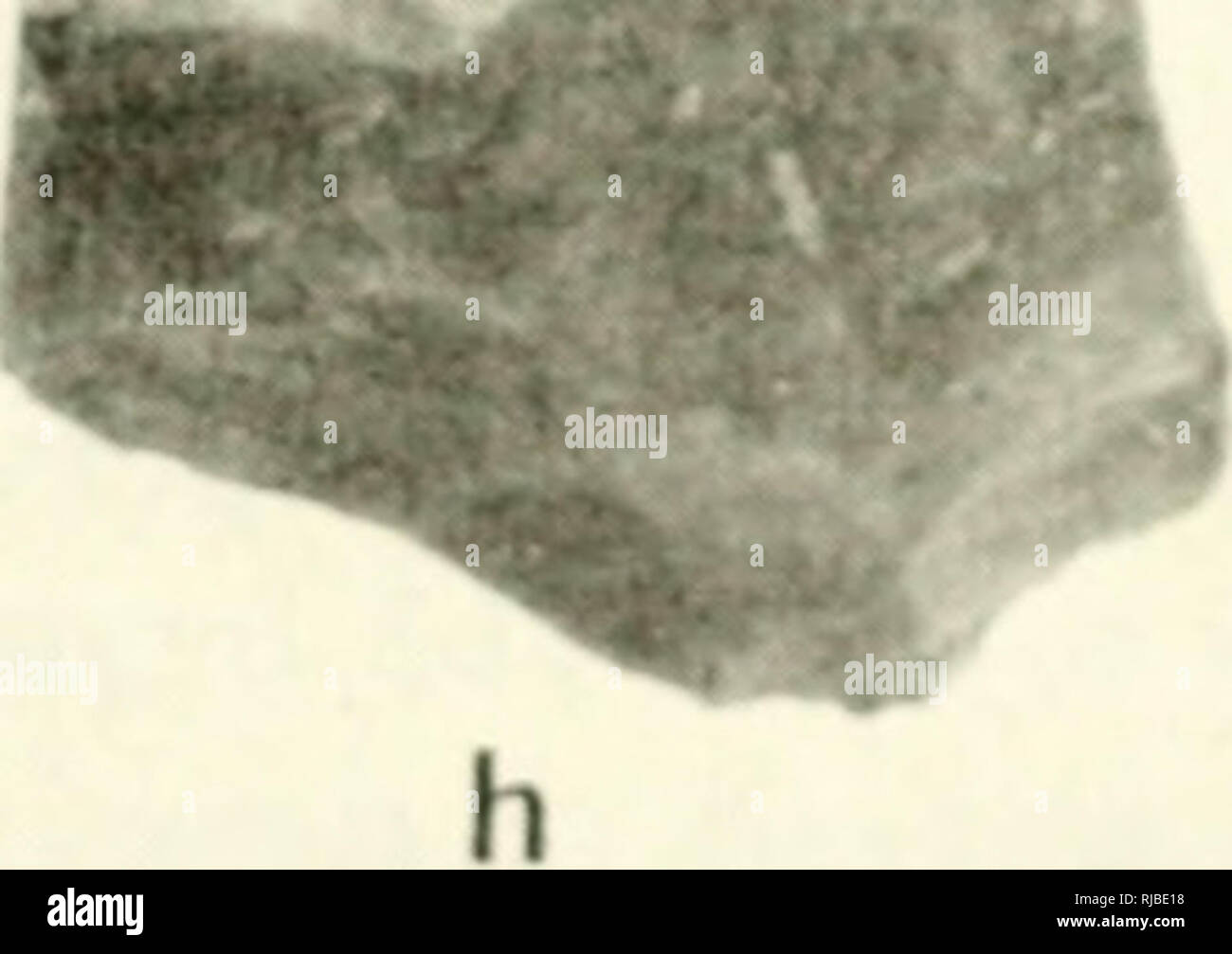 Ai measured hi-res stock photography and images - Alamy
