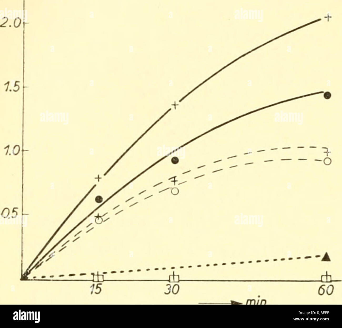 Otto berman hi-res stock photography and images - Alamy