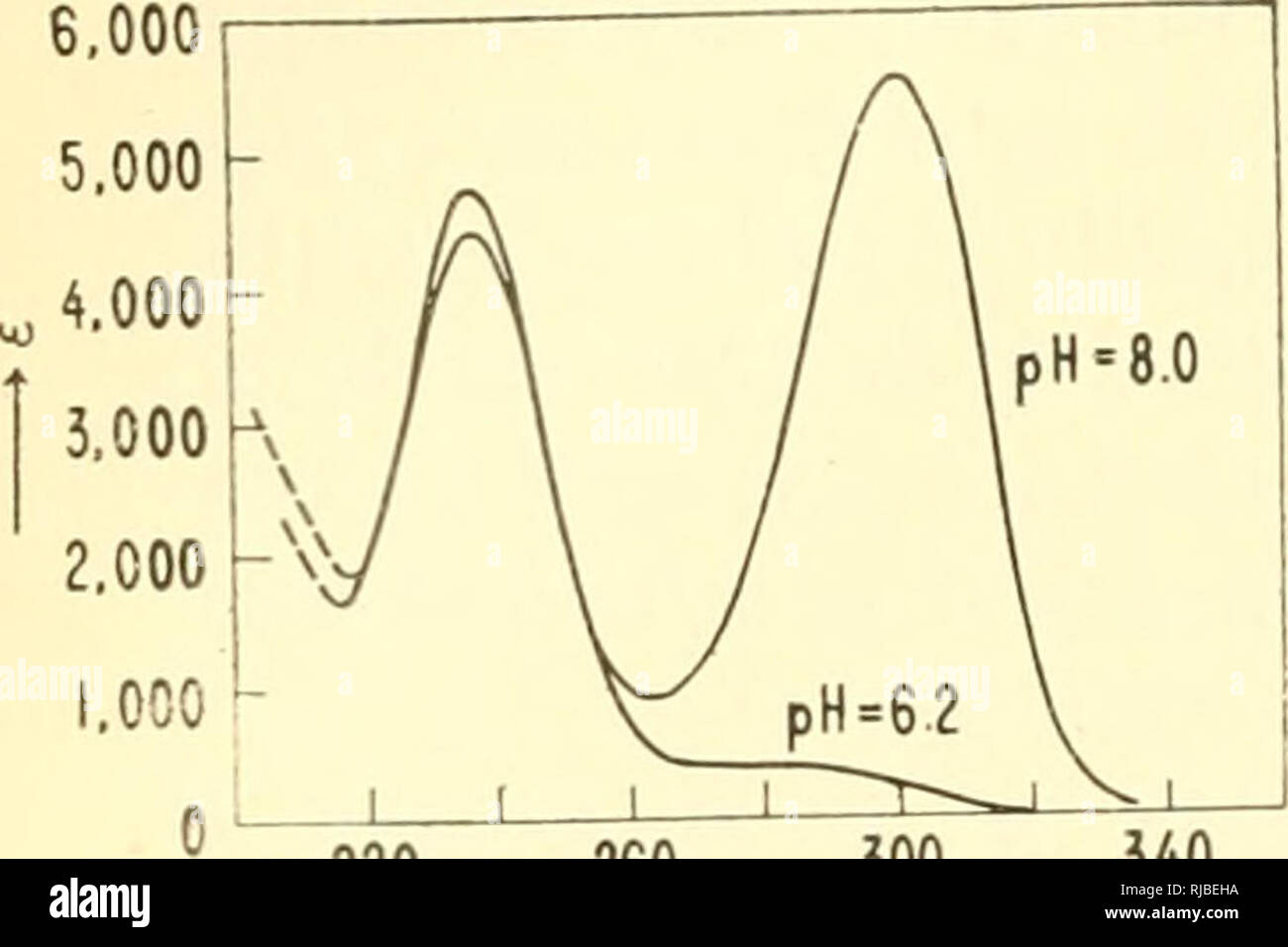Thioester bond hi-res stock photography and images - Alamy