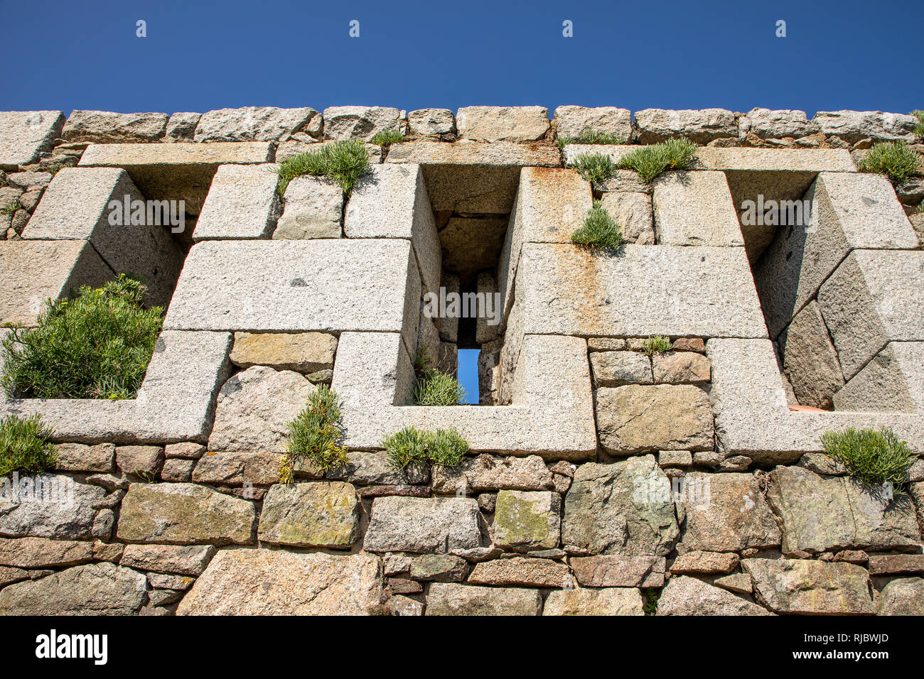 Victorian Chateau L Etoc stone walling and windows with growing fig ...