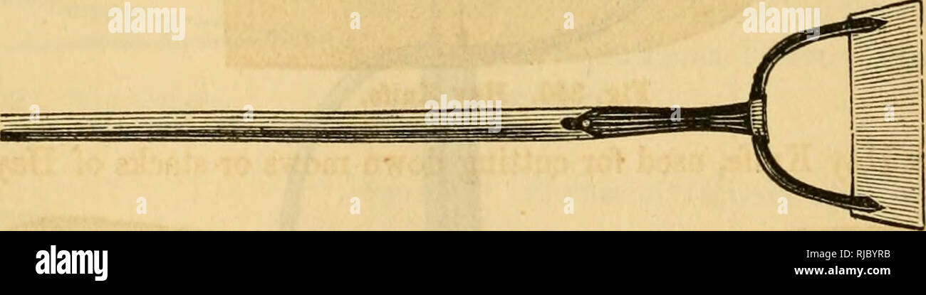 Nut tree in pot hi-res stock photography and images - Alamy