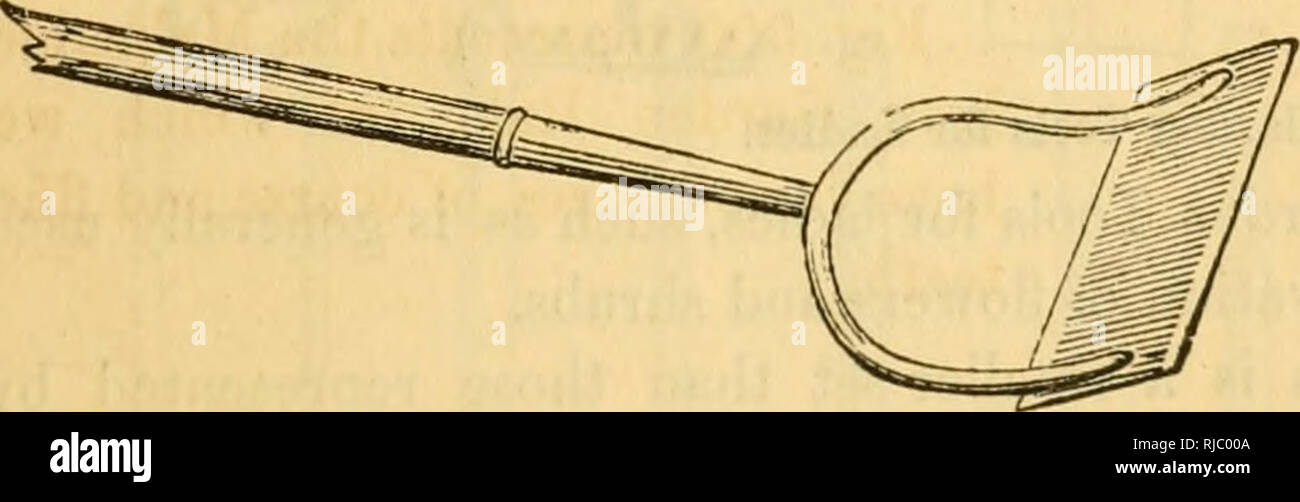 Dutch hoe weeding hi-res stock photography and images - Alamy