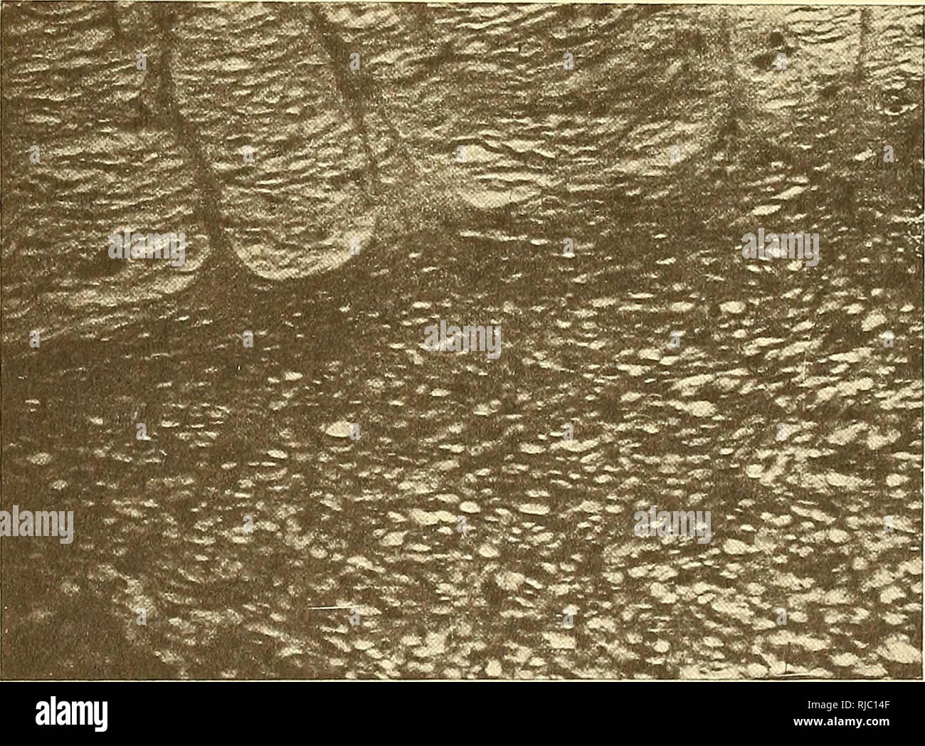 Irregular bulges hi-res stock photography and images - Alamy