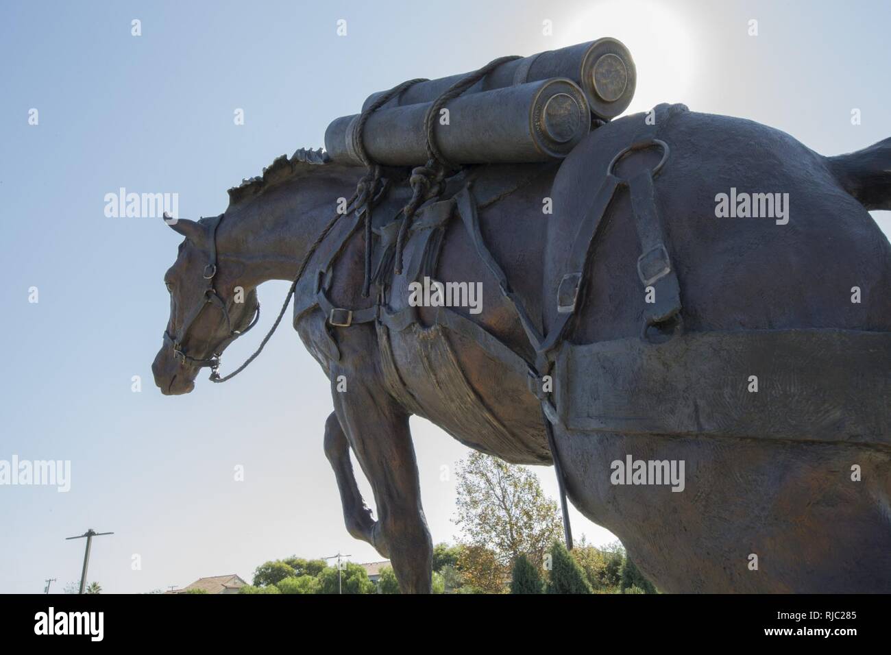 War horse Staff Sgt. Reckless monument at Pacific Views event center on ...