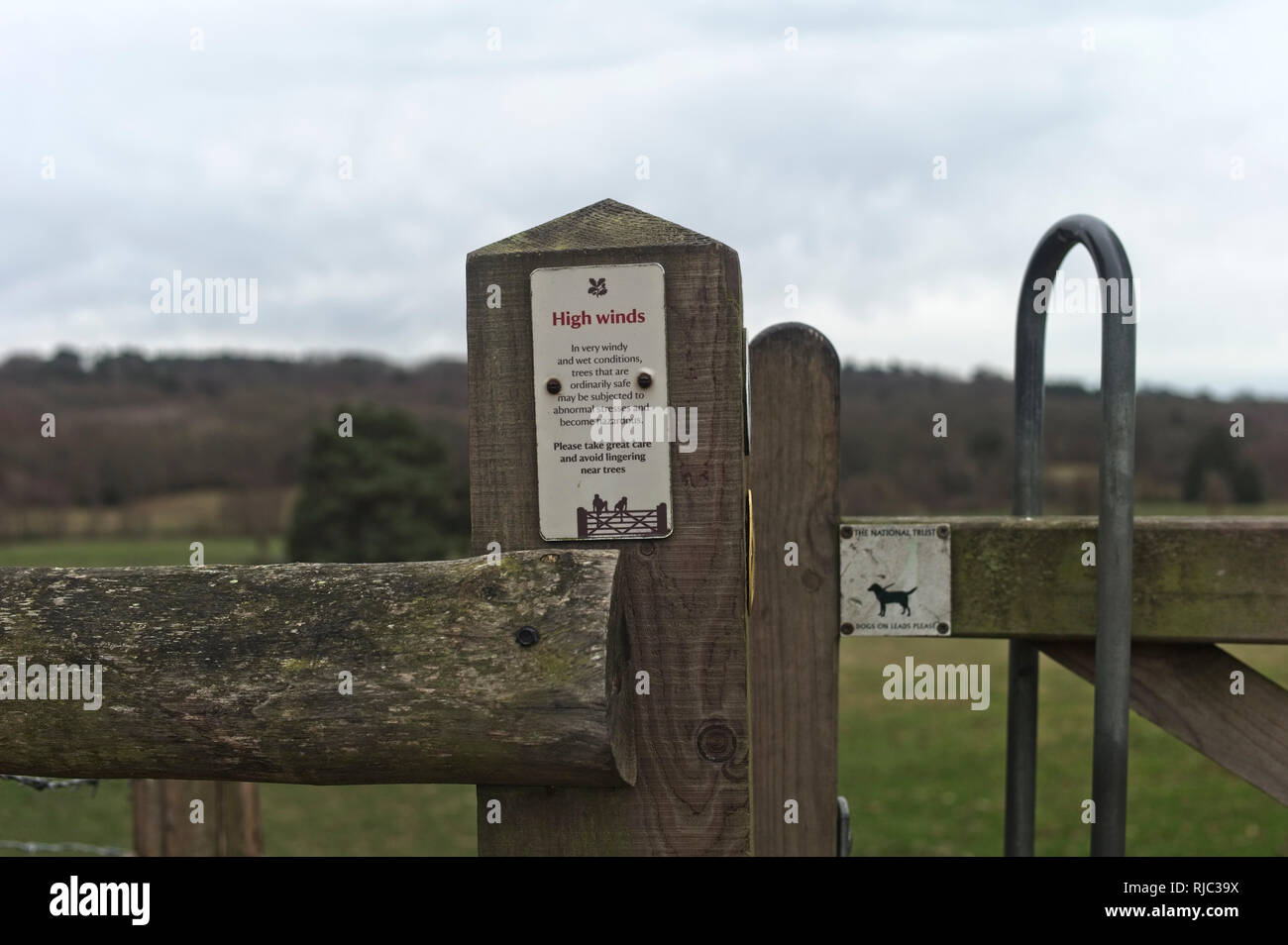 High Winds: Warning sign to take care from falling trees in windy ...