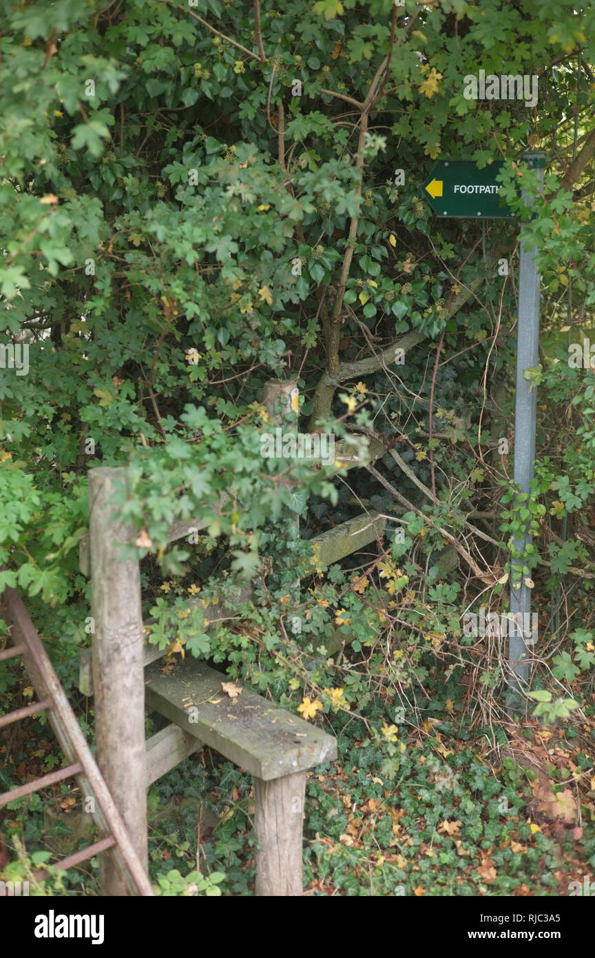 A footpath that has been blocked by overgrowth Stock Photo - Alamy