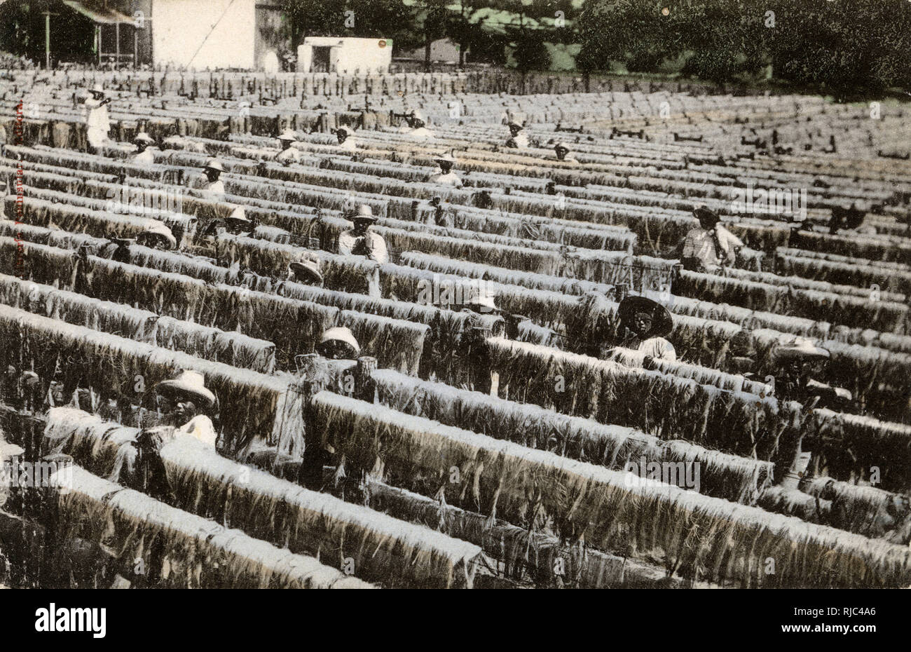 Hay drying racks hi-res stock photography and images - Alamy