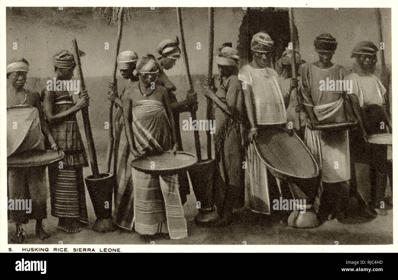 Sierra Leone, West Africa - The husking of rice using a pestle and ...