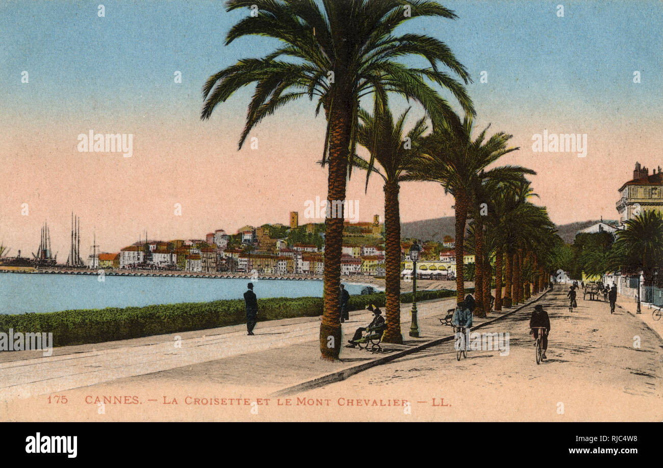 Boulevard la croisette and palm hi-res stock photography and images - Alamy