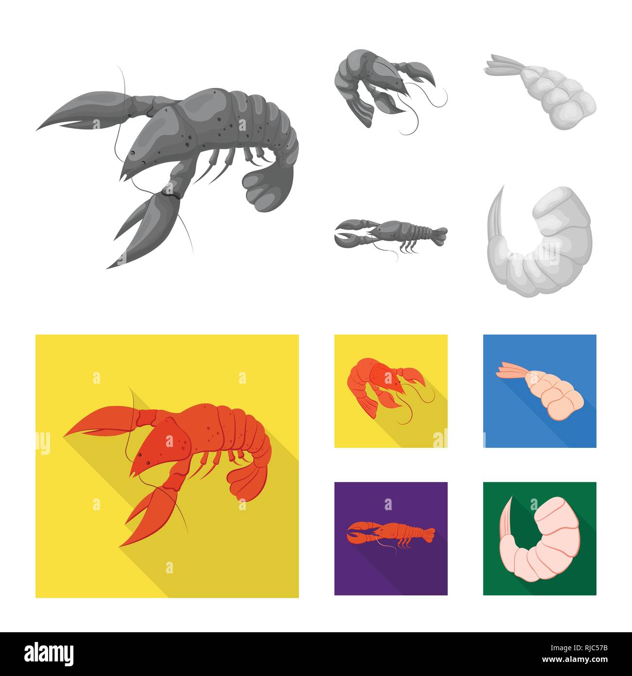 Vector illustration of appetizer and ocean symbol. Set of appetizer and ...