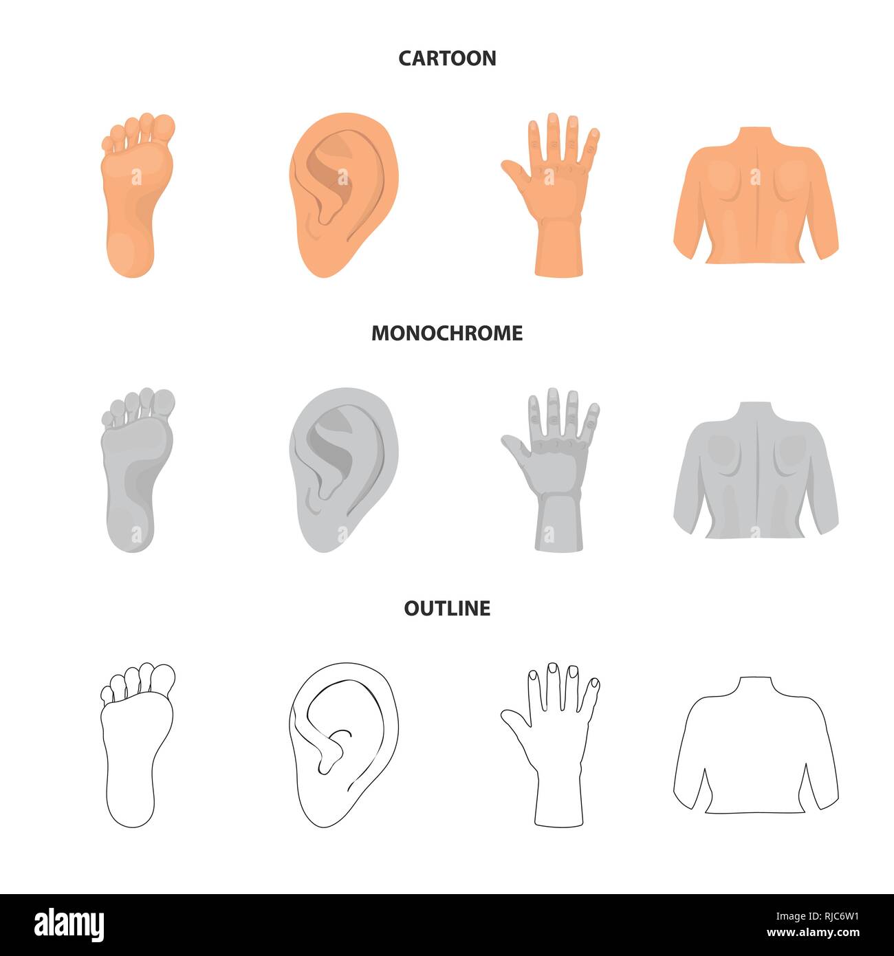 Vector illustration of body and part sign. Collection of body and ...