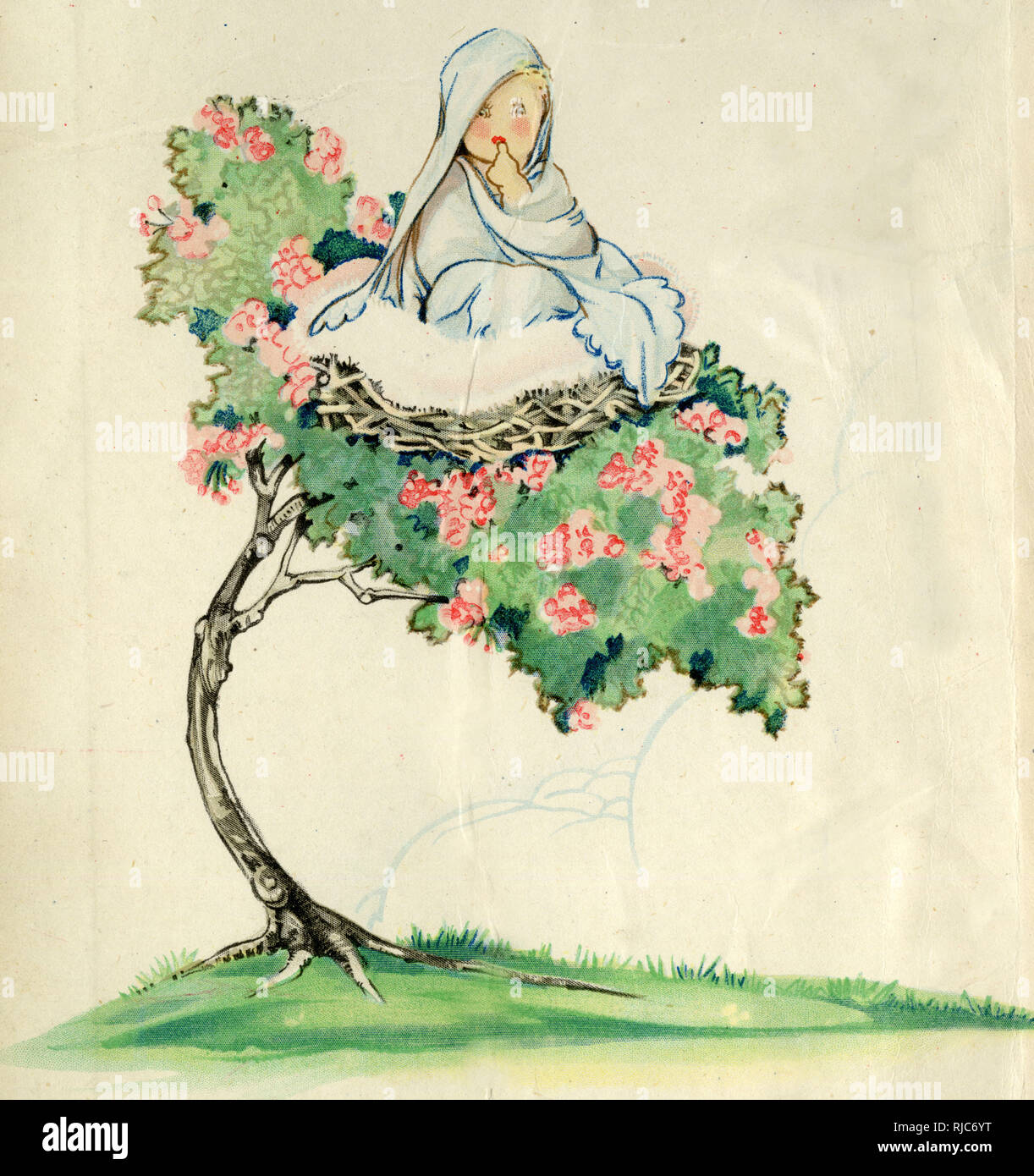 Endpapers design hi-res stock photography and images - Alamy