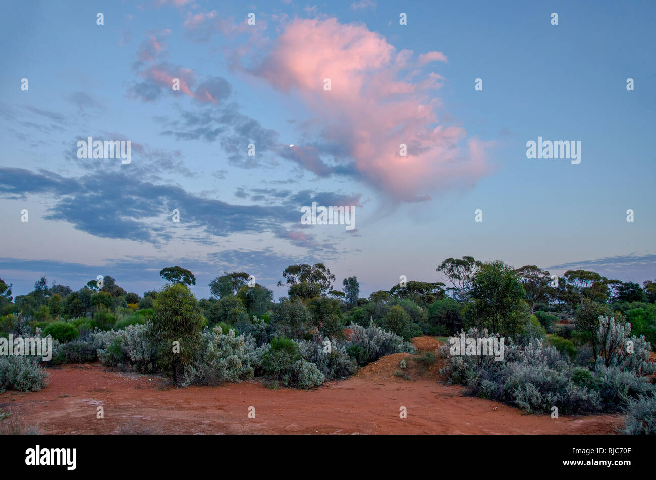 Desert landscape at sunset, Pilbara, Western Australia, Australia Stock ...