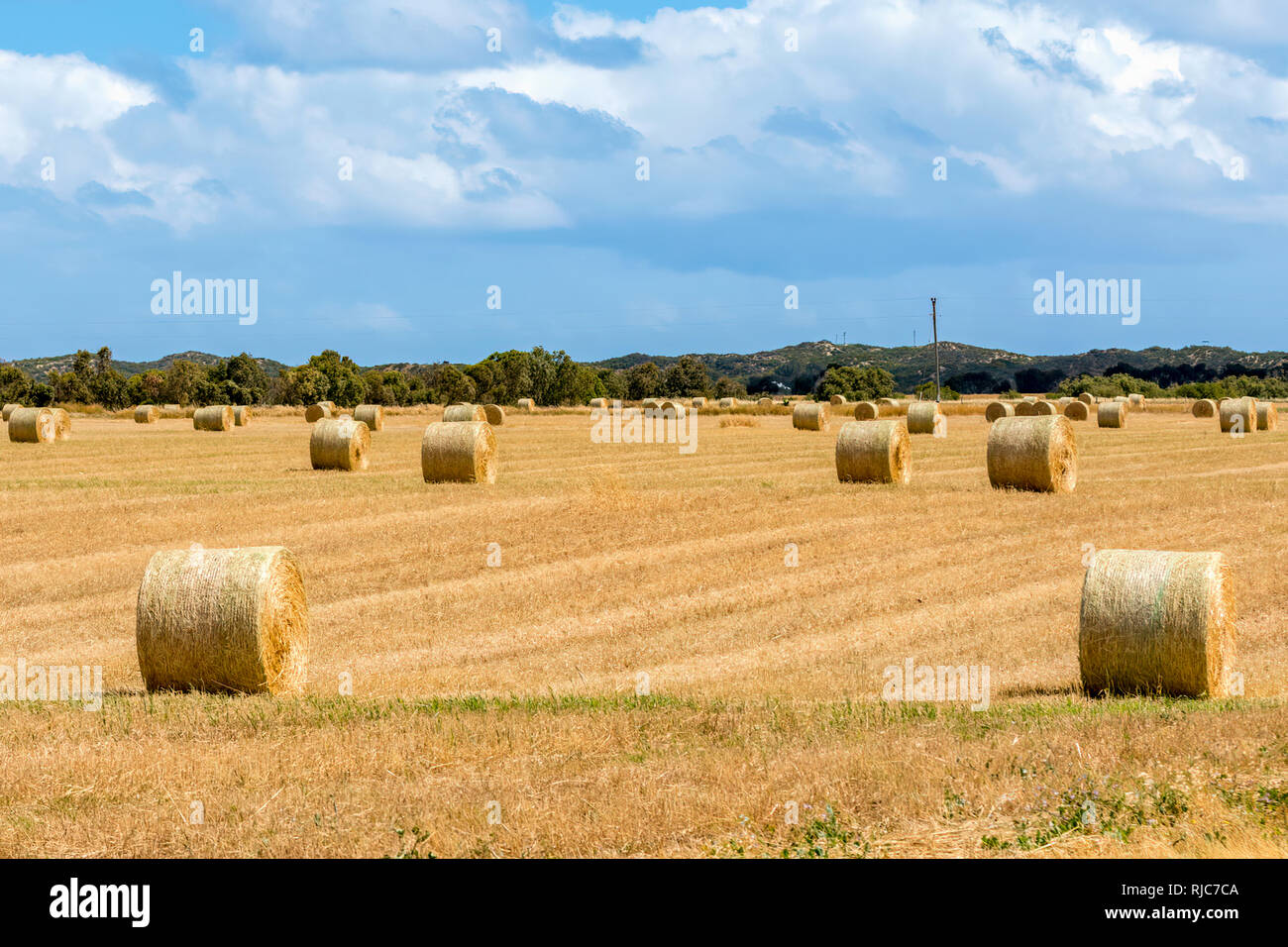Harvesting Hay Australia High Resolution Stock Photography and Images ...