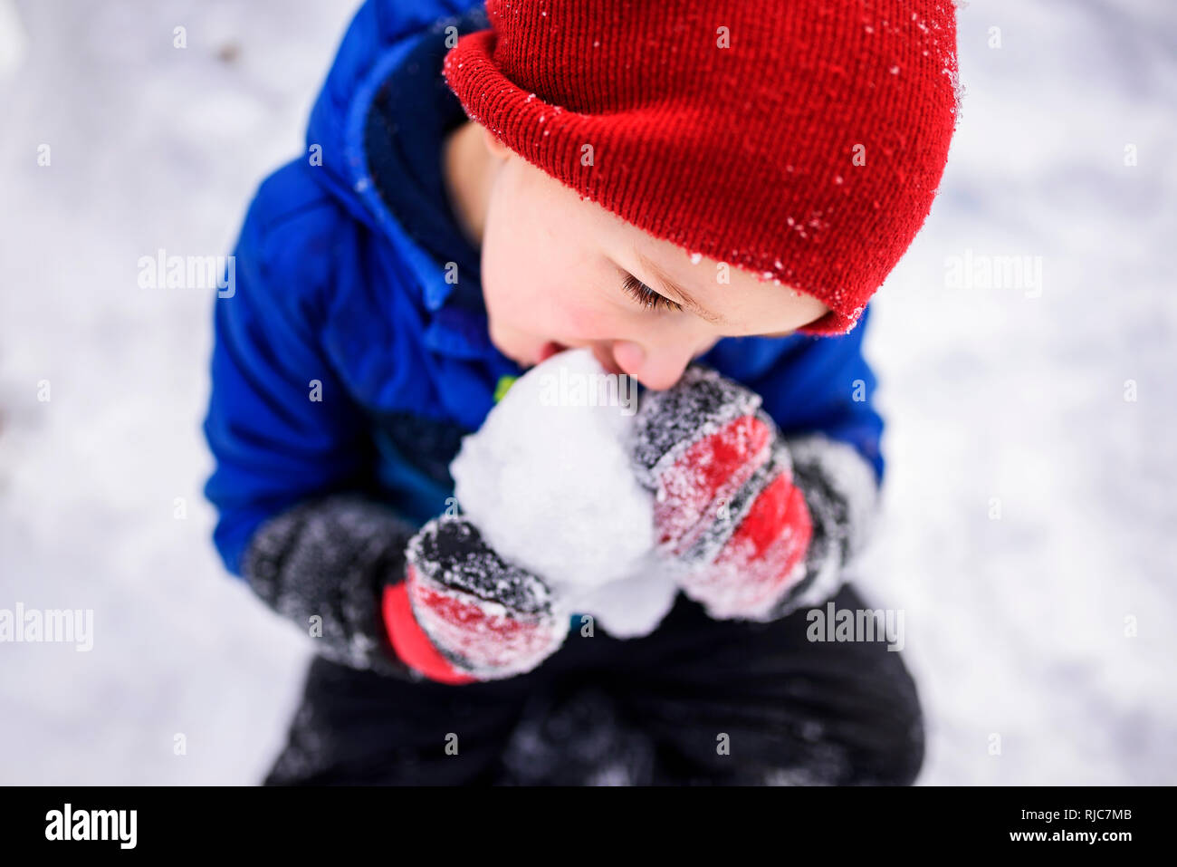 Overhead view of a boy eating snow, Wisconsin, United States Stock ...