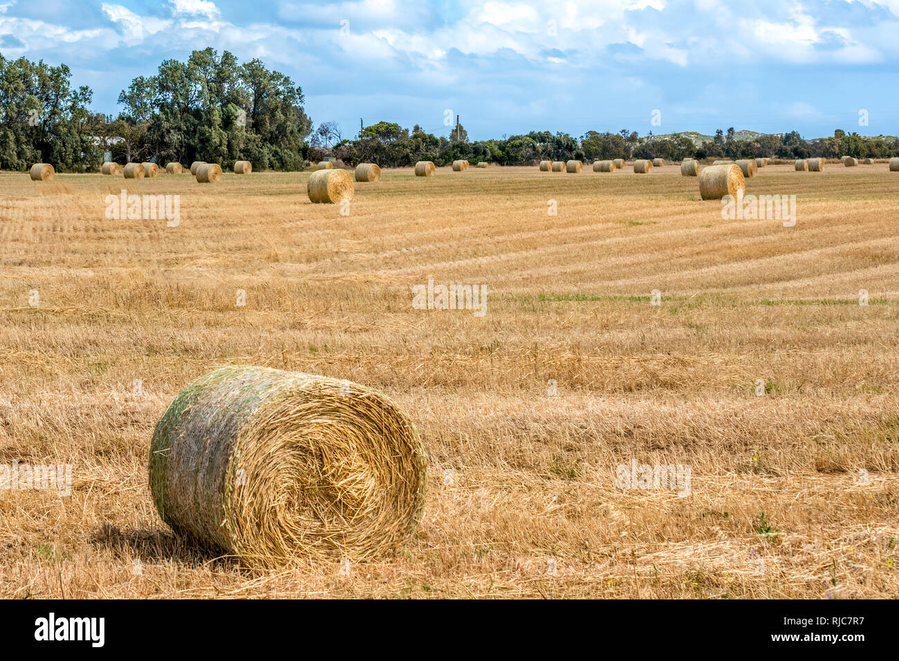 Harvesting Hay Australia High Resolution Stock Photography and Images ...