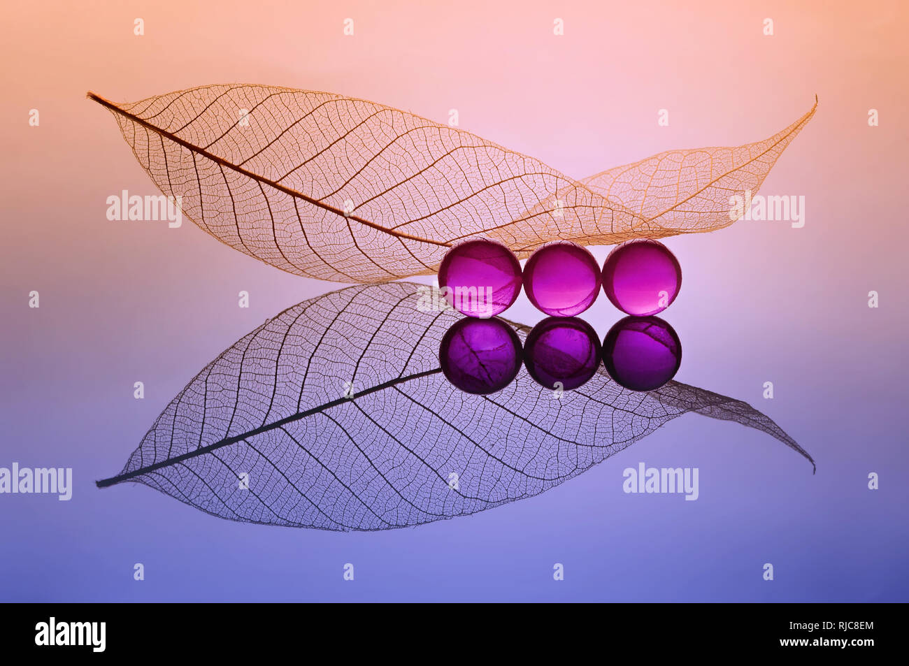 Water drop in nature hi-res stock photography and images - Alamy