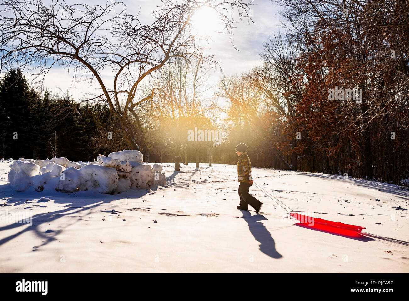 Boy pulling a sledge in the snow, Wisconsin, United States Stock Photo ...