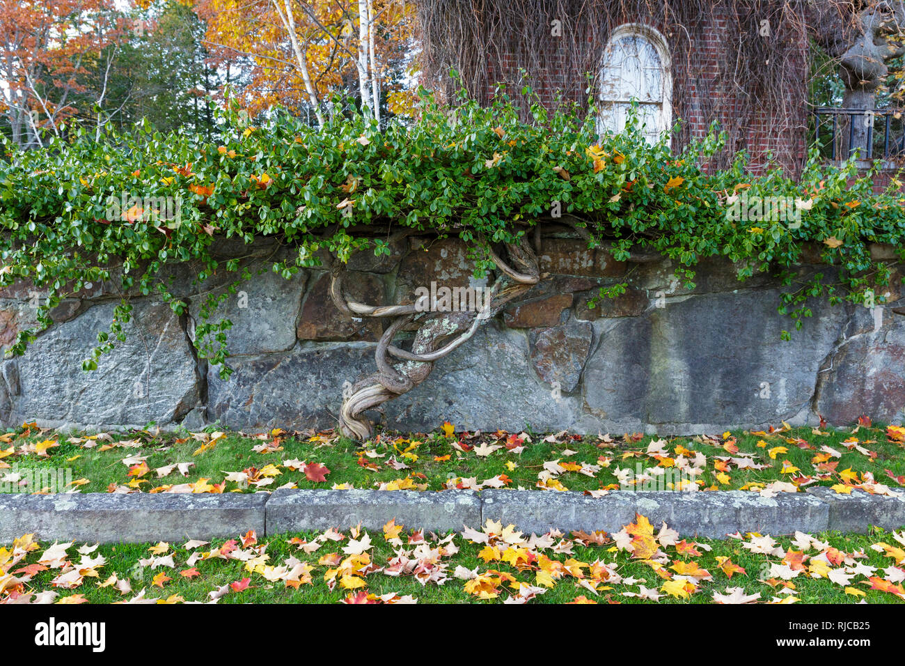 Camden Amphitheater in downtown Camden, Maine during the autumn months ...