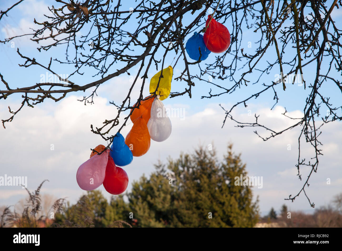 Colorful balloons left on the tree in winter. Sad feelings picture ...