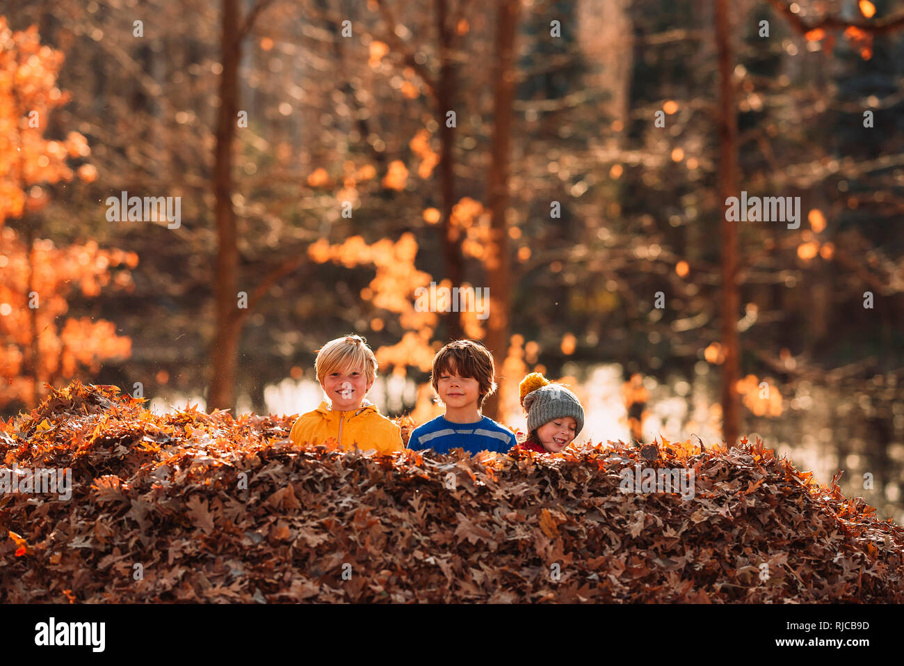 Three children playing in a pile of leaves, United States Stock Photo ...